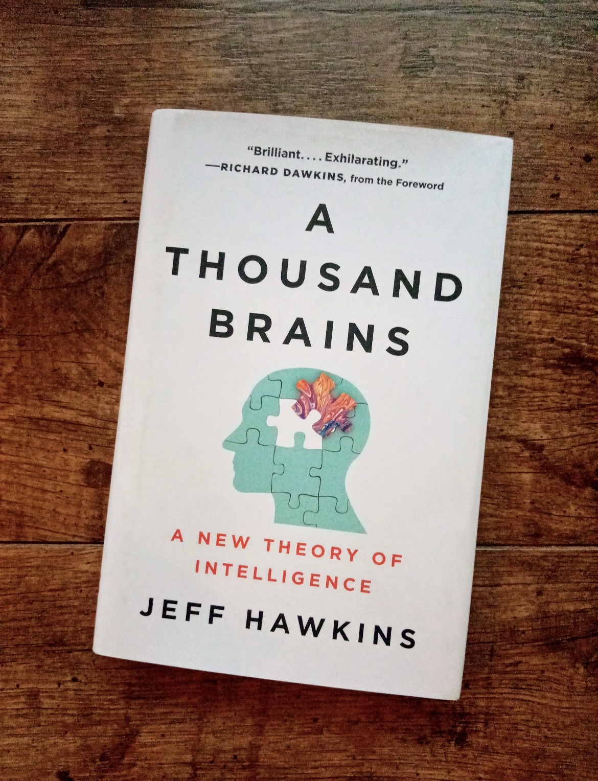 A Thousand Brains - 讀書e誌