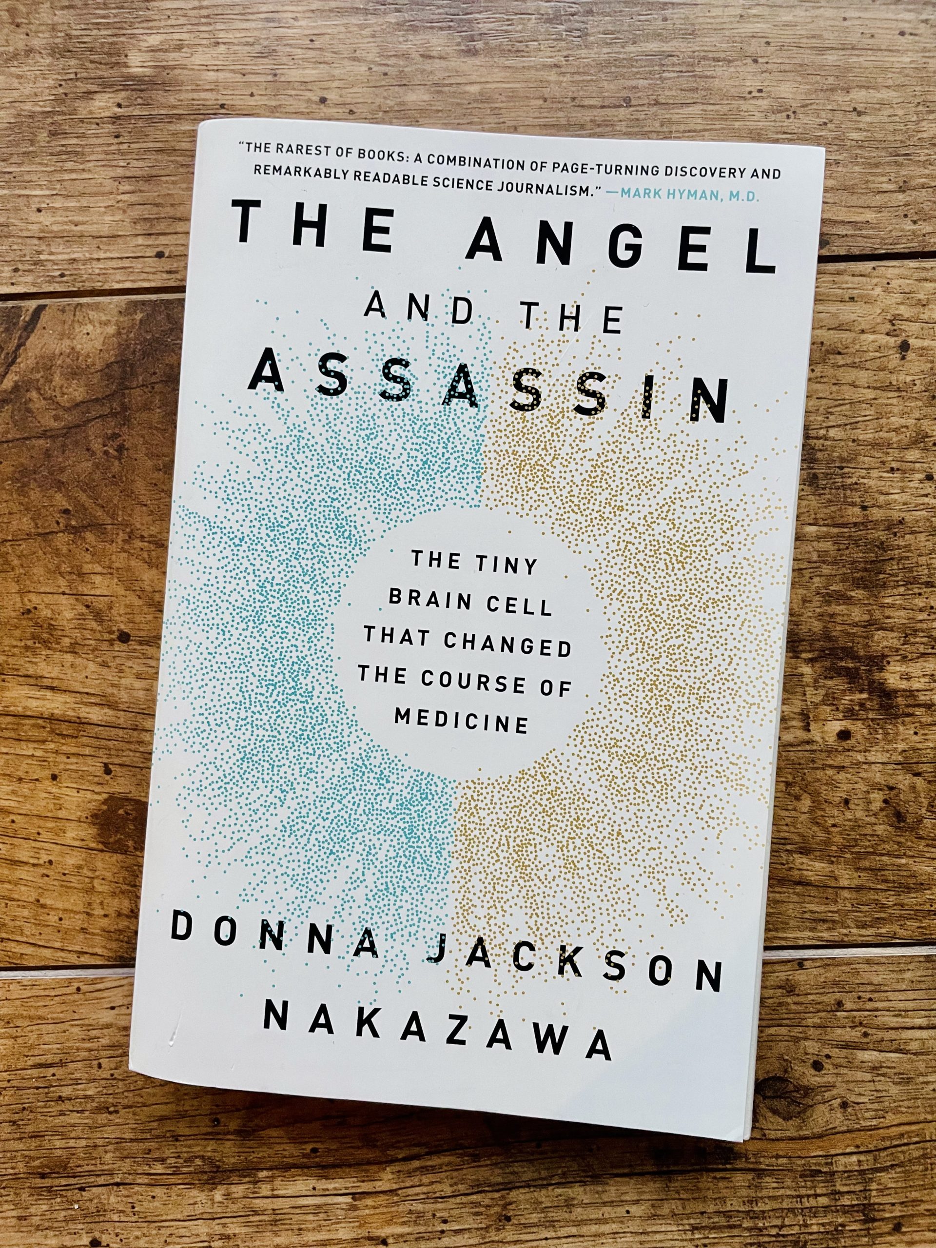 The Angel and the Assassin 大腦的天使與刺客 - 讀書e誌