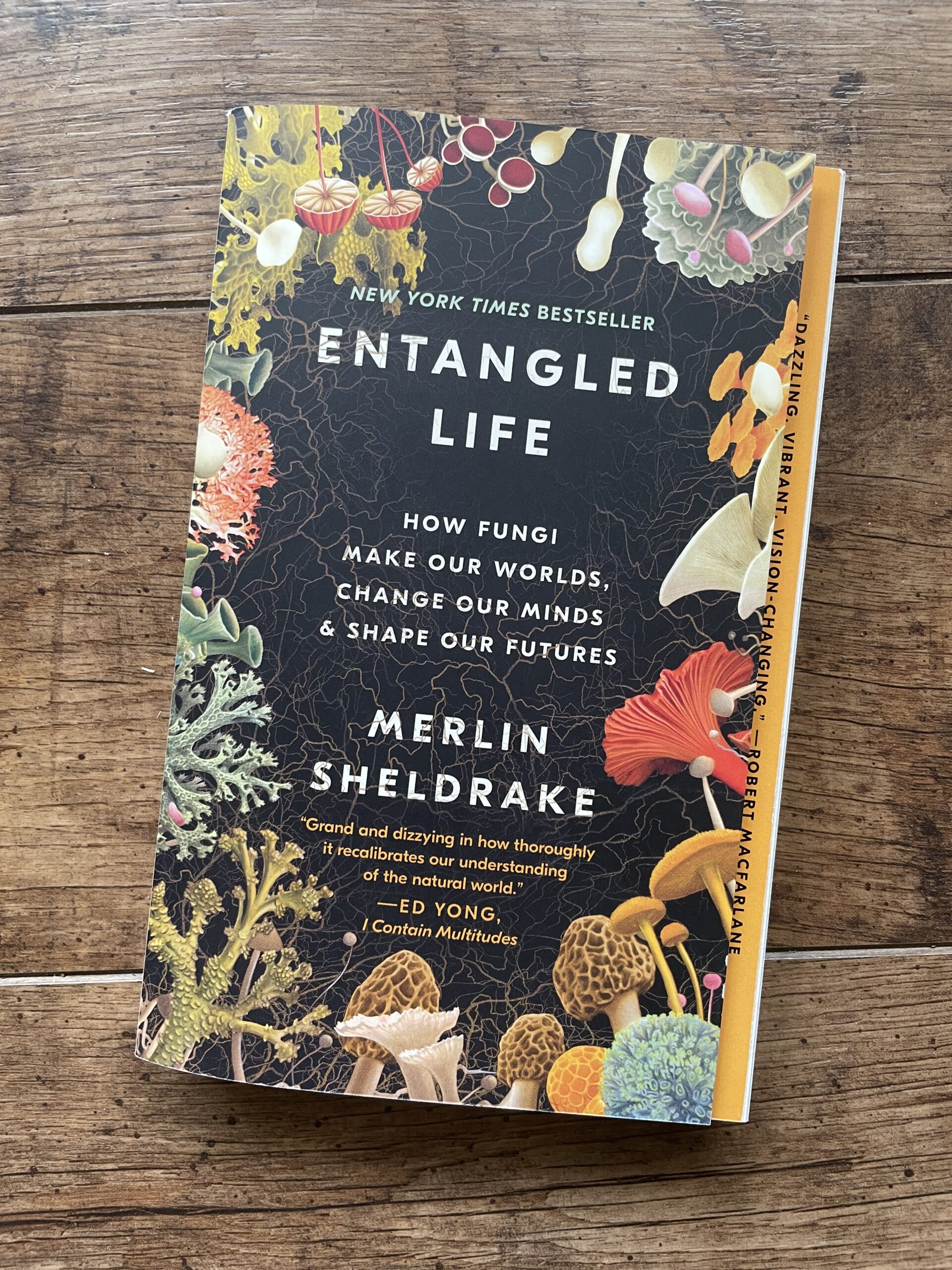 Entangled Life 真菌微宇宙 - 讀書e誌